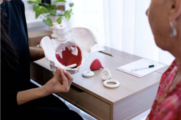 Pelvic Organ Prolapse and Outlet Obstruction Constipation – BIEN Australia